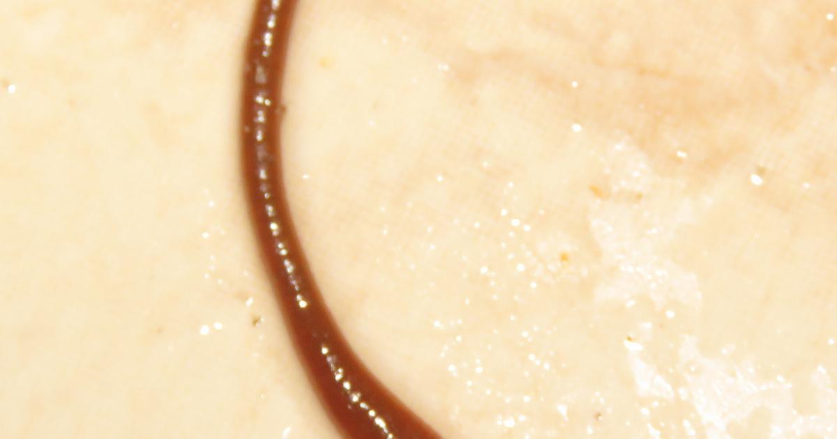 Haplotaxida #176659 - Biofaces - Bring Nature Closer