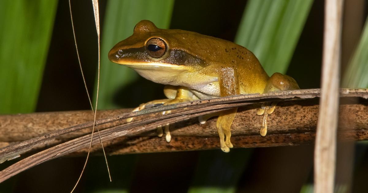 Basin #252399 - Biofaces - Bring Nature Closer